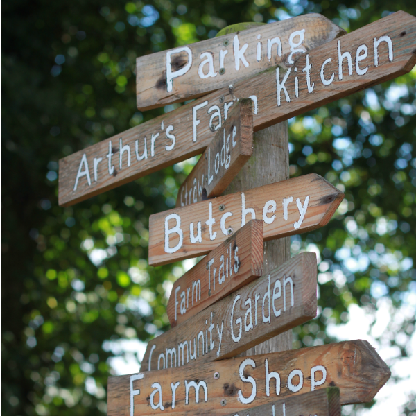 Facing the future - Plunkett UK